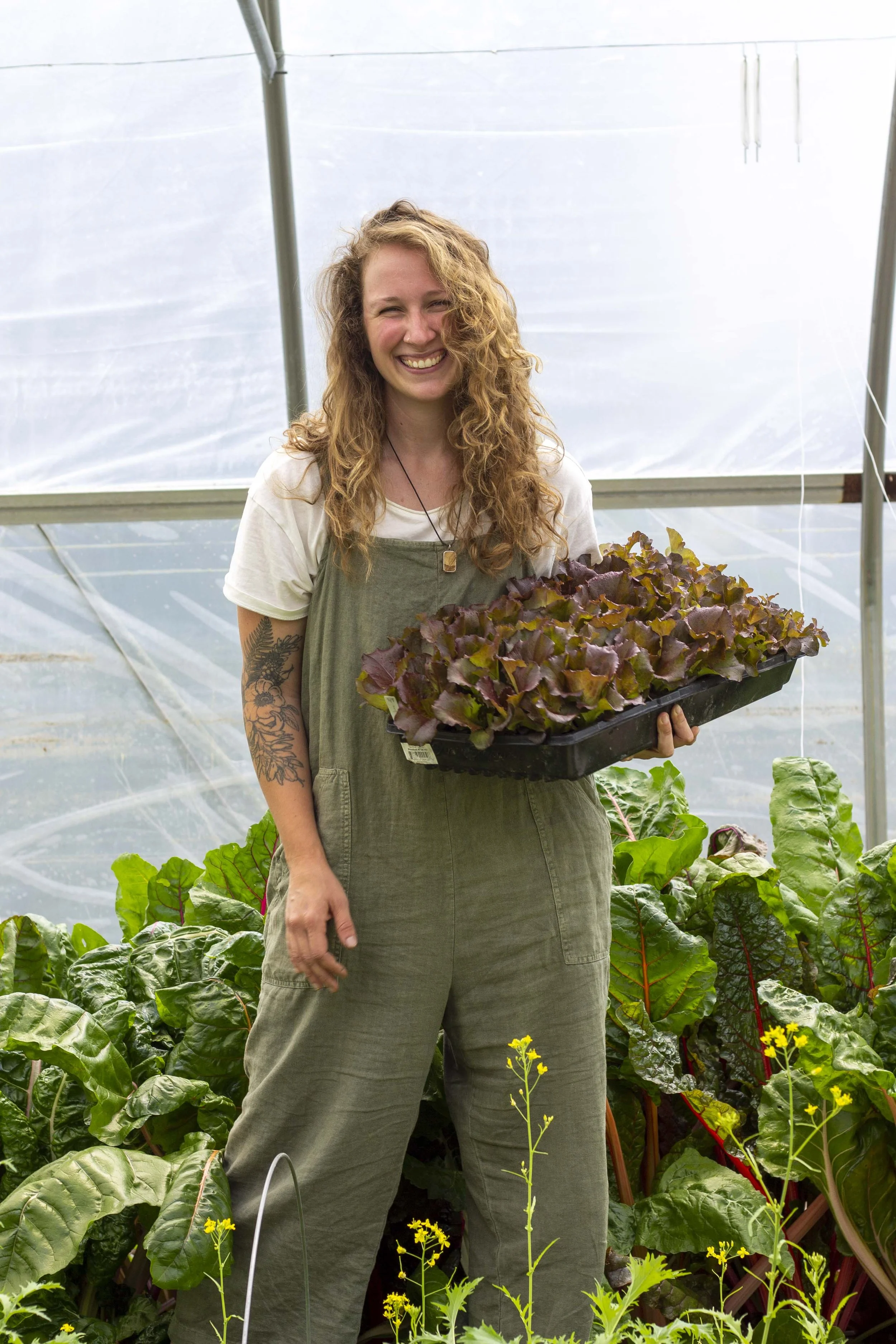 Atwater's — Big Kitchen Farm