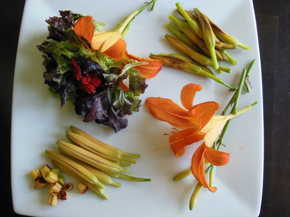 Cooking Orange Daylilies — A Teaspoon