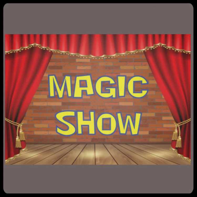 Magic Show Backdrop
