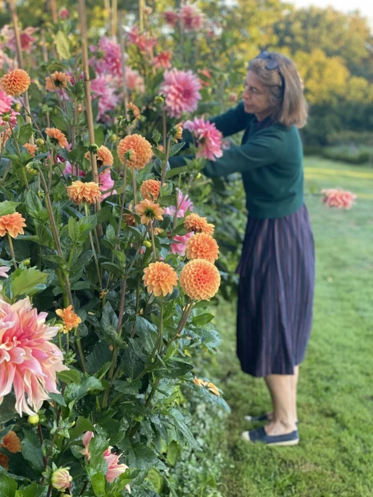 Filming in France — the land gardeners