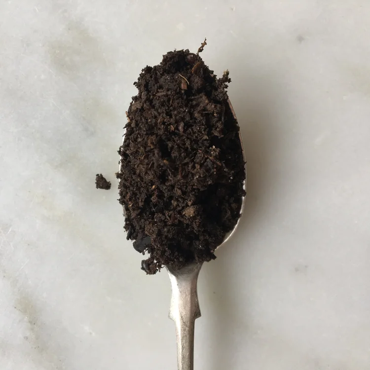 A Guide to Green Manures — the land gardeners