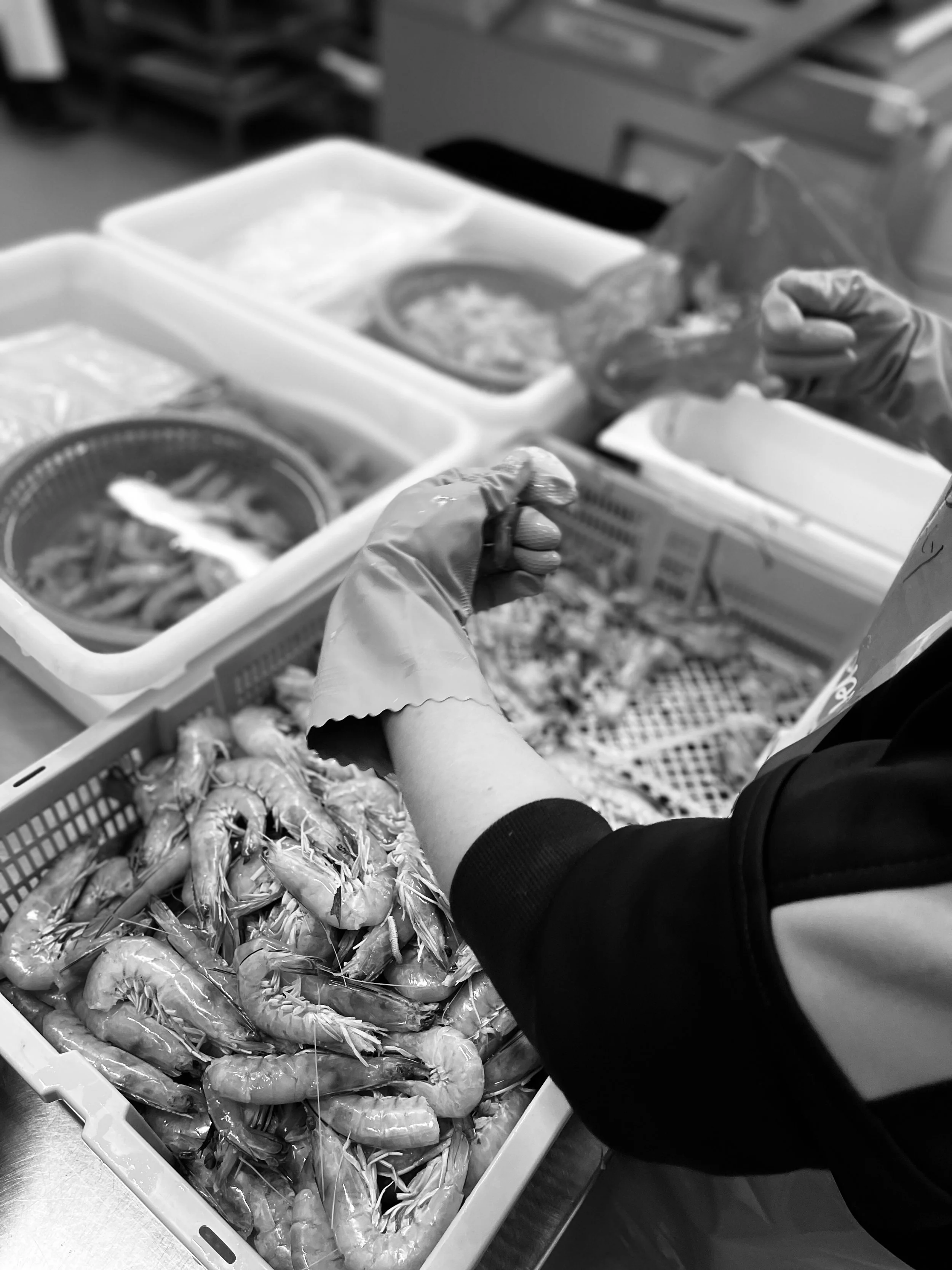 Employment — Fins Seafood