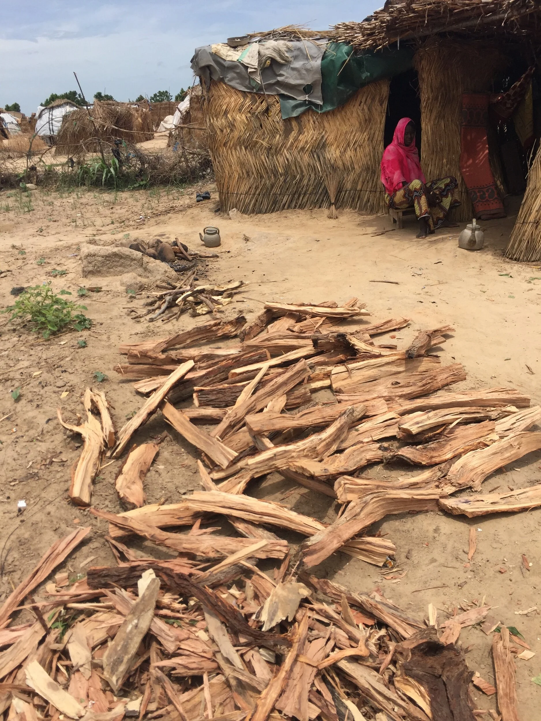 Climate, Conflict, Migration in the Sahel - Regional Expert Weighs In ...