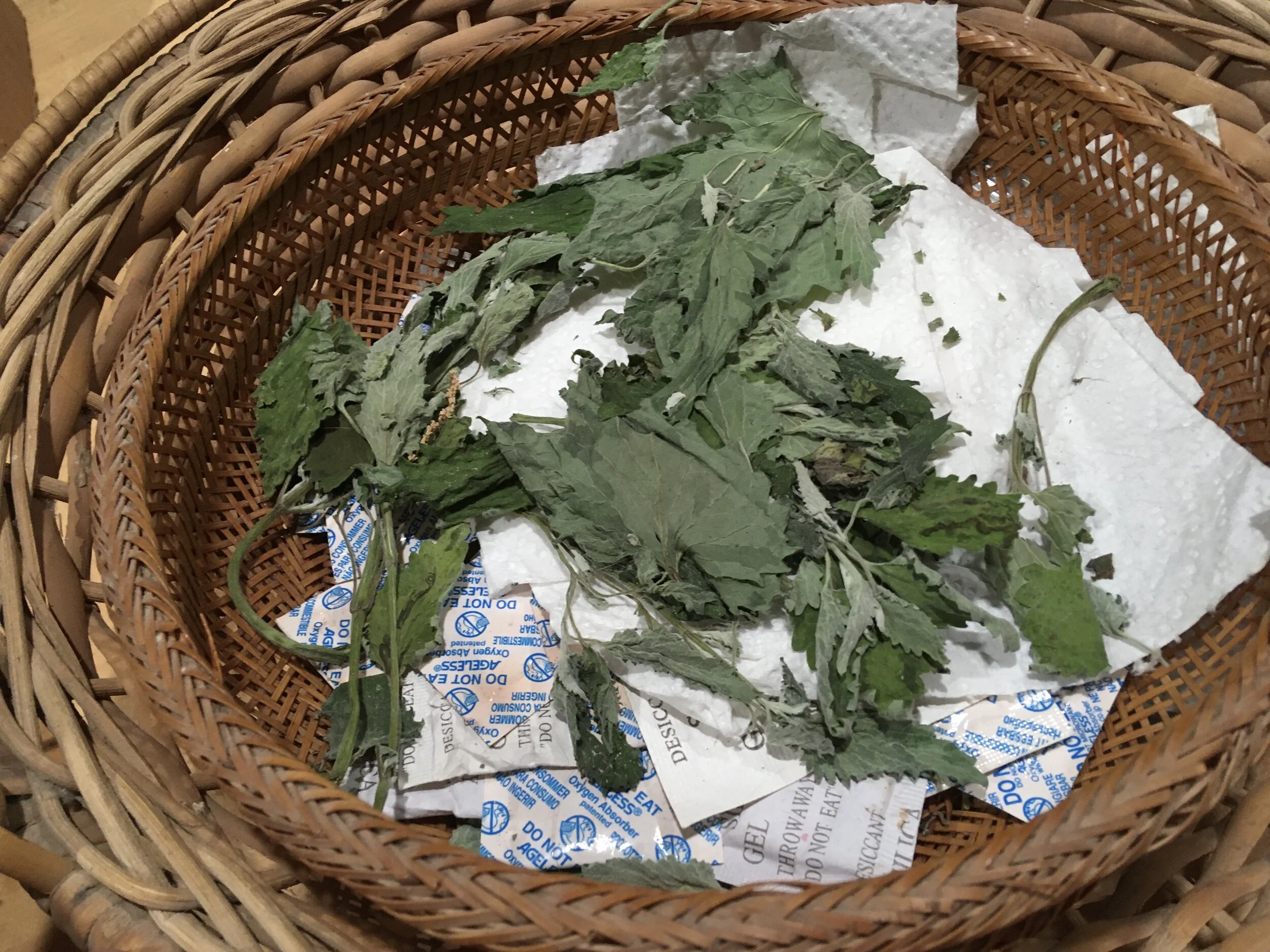 How to Dry Catnip — Made Just For U
