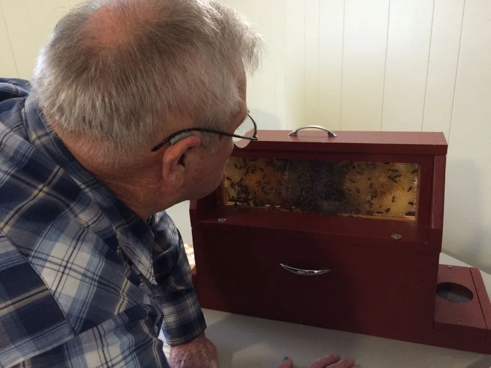 Portable Observation Hive — Home Sweet Bees