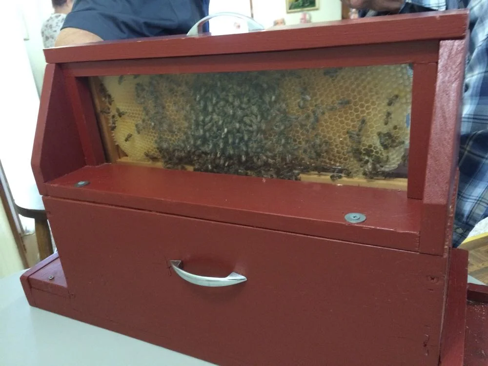Portable Observation Hive — Home Sweet Bees