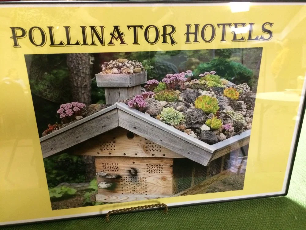 Pollinator Hotels — Home Sweet Bees
