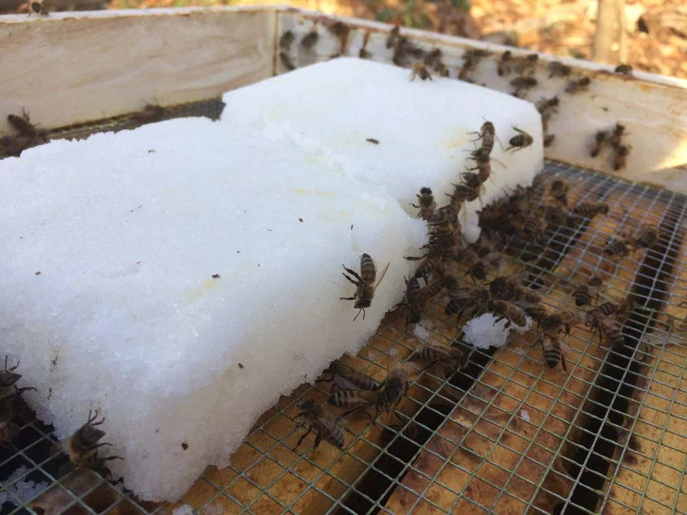Winterizing Honeybee Hives — Home Sweet Bees
