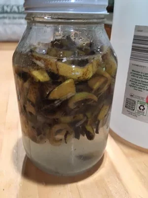 Homemade Small Hive Beetle Lure — Home Sweet Bees