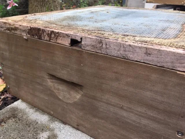 Adding Screened Inner Cover — Home Sweet Bees