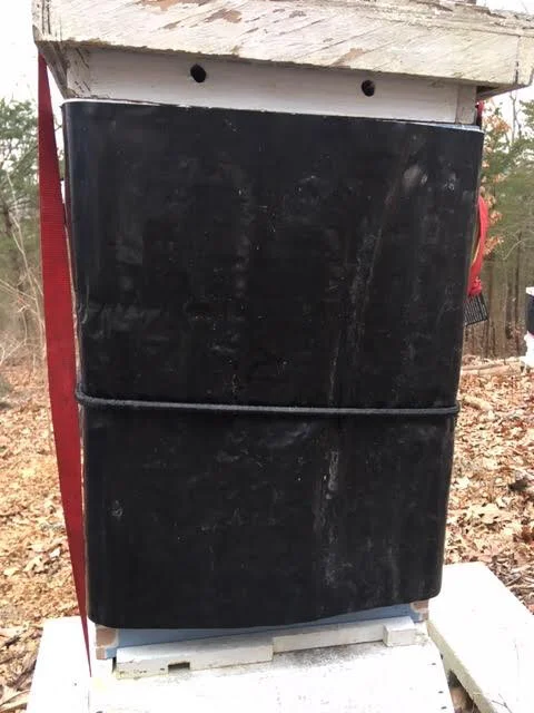 Cleaning Hive Entrances — Home Sweet Bees