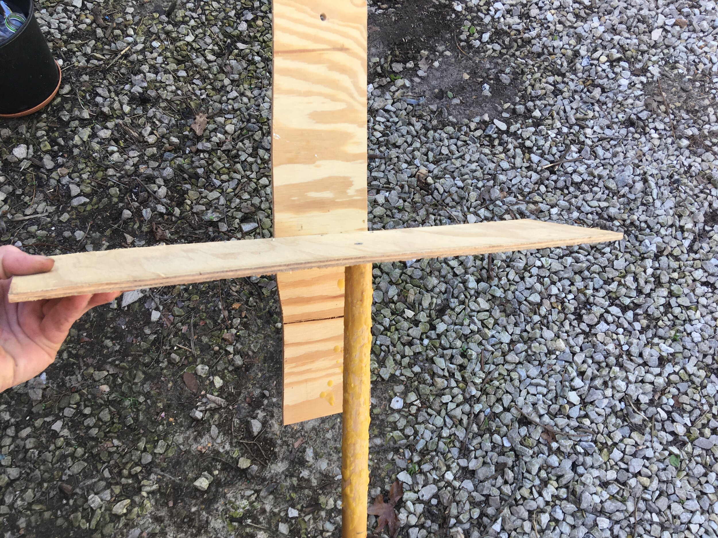 Russian Scion Swarm Catcher — Home Sweet Bees