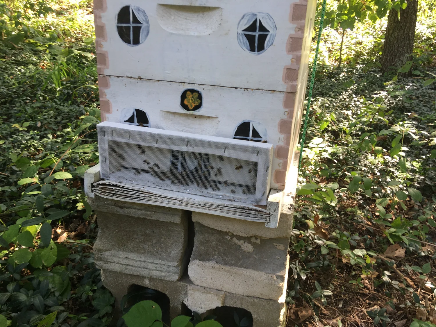 Hive Robbing Screens — Home Sweet Bees
