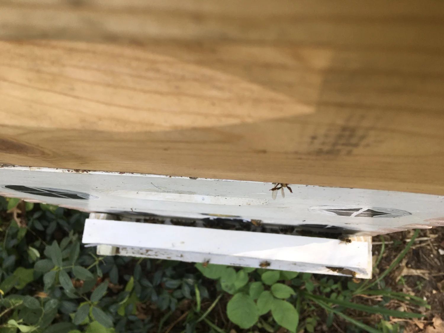 Hive Robbing Screens — Home Sweet Bees