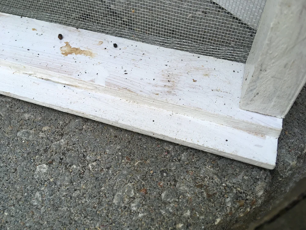 Hive Robbing Screens — Home Sweet Bees