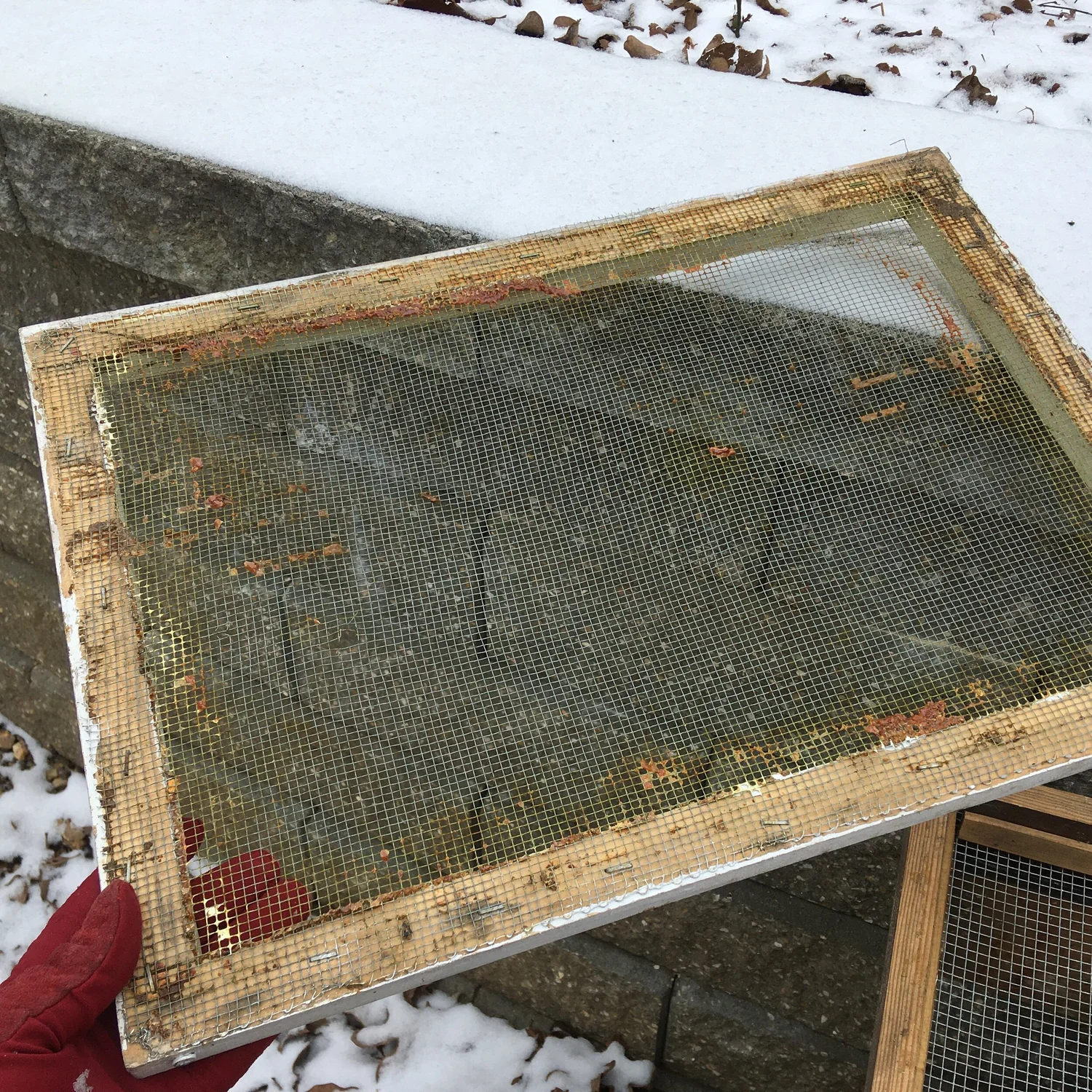 Screened Inner Cover — Home Sweet Bees