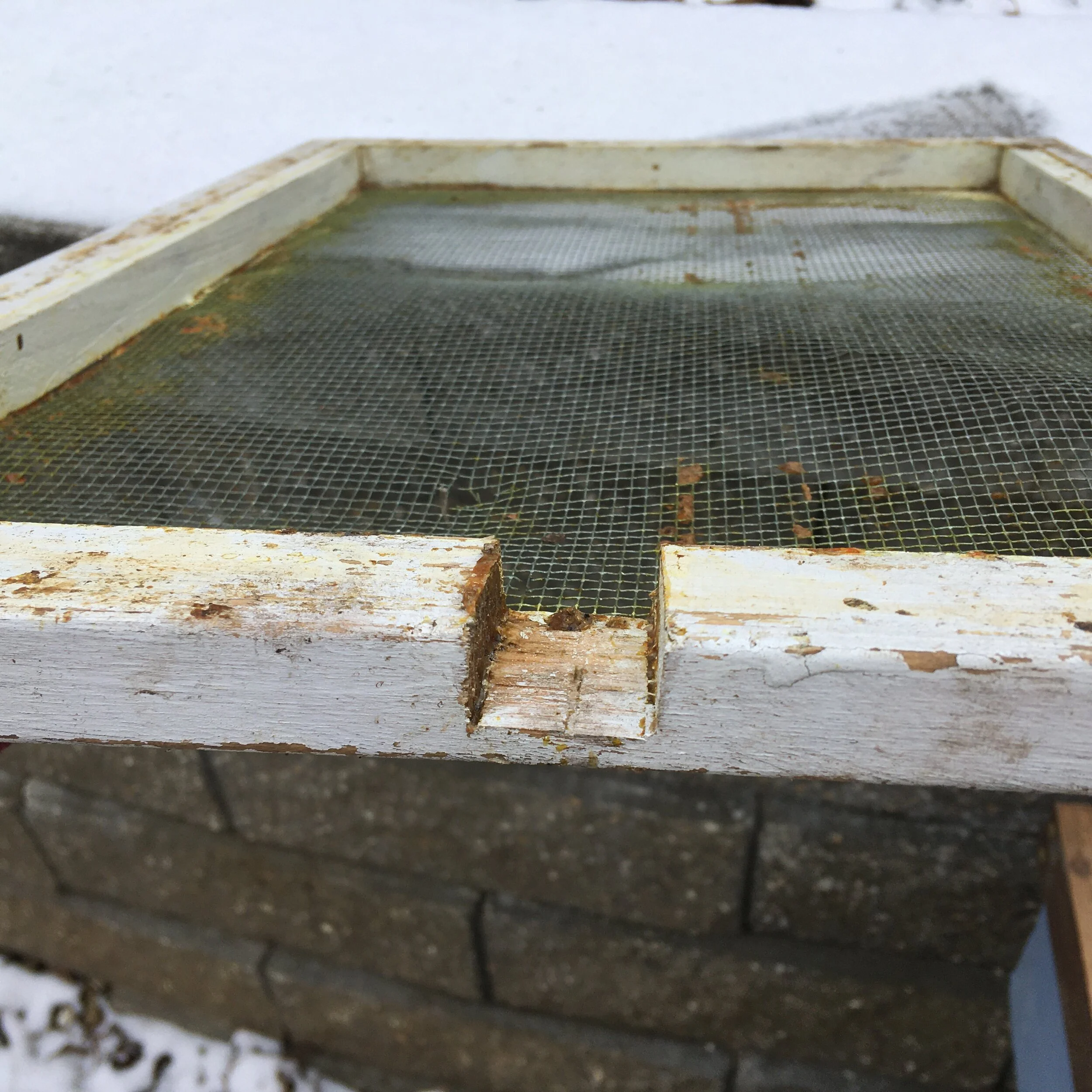 Screened Inner Cover — Home Sweet Bees