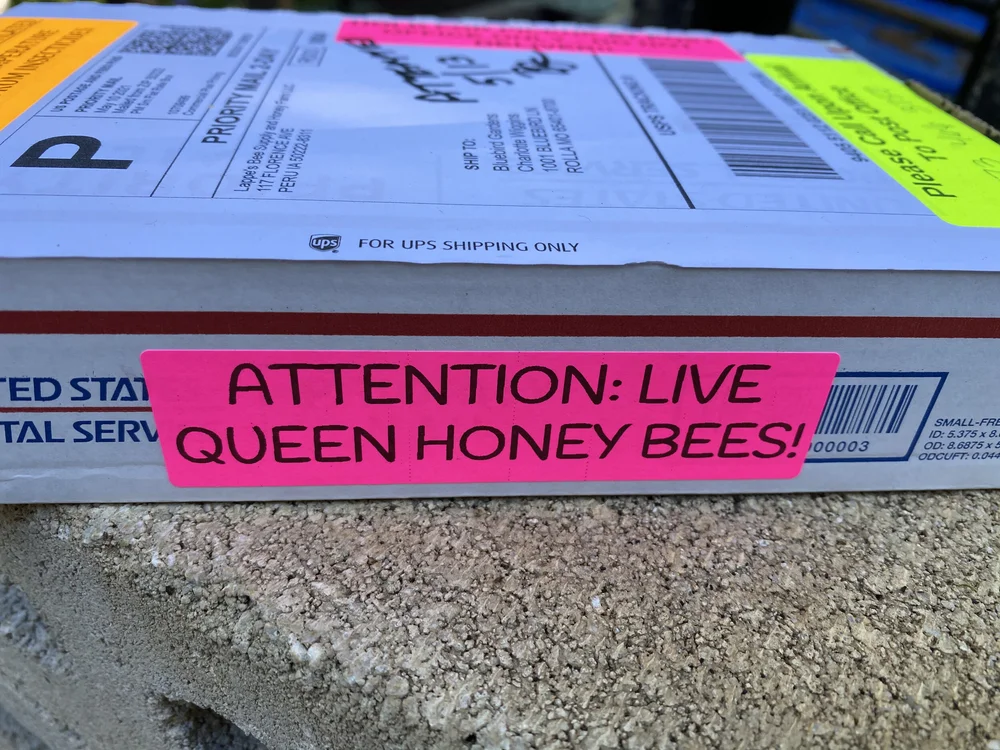 Shipping Queen Bees — Home Sweet Bees