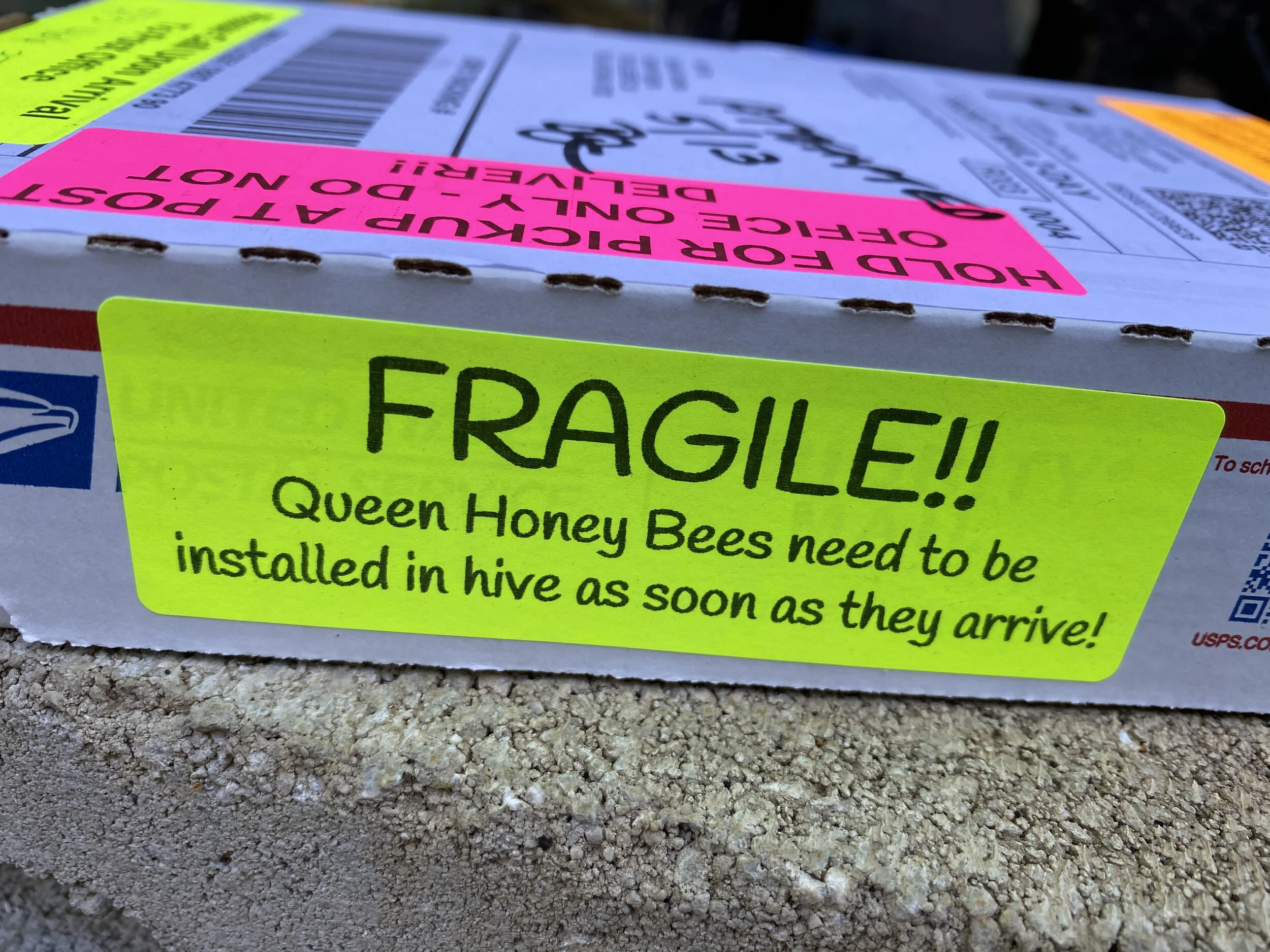 Shipping Queen Bees — Home Sweet Bees