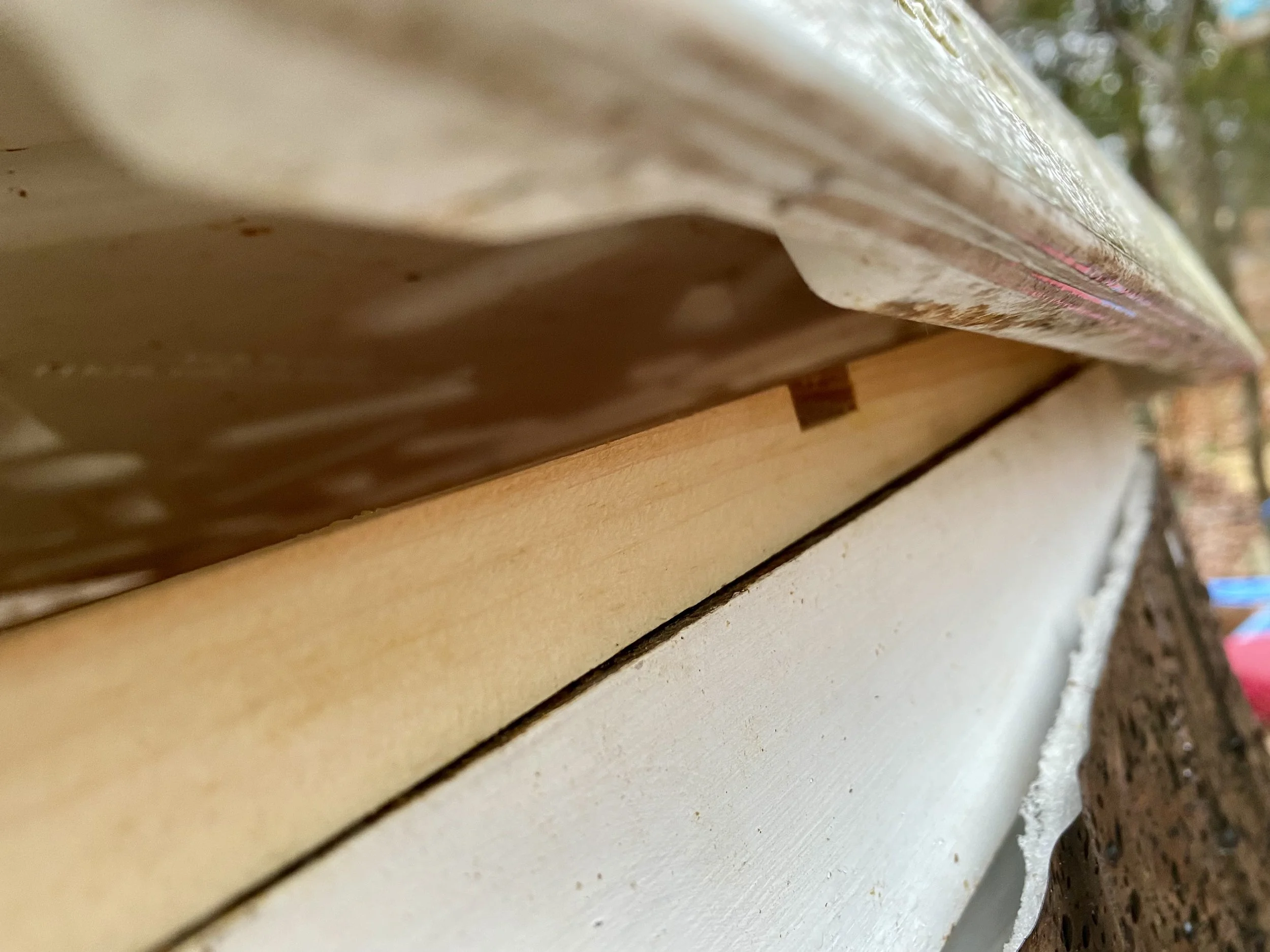 Which Side Up? — Home Sweet Bees