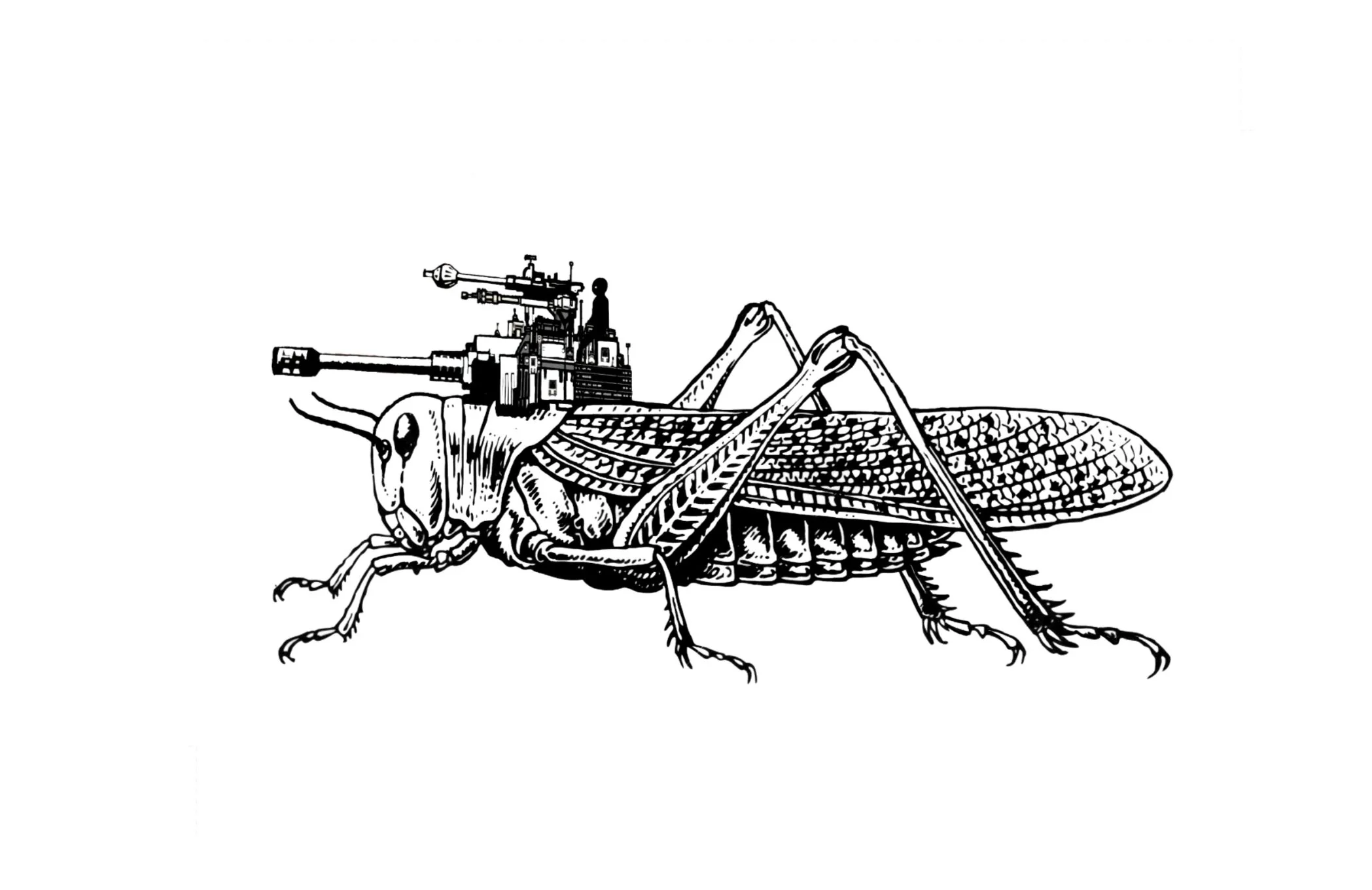 Locust Flying Drawing