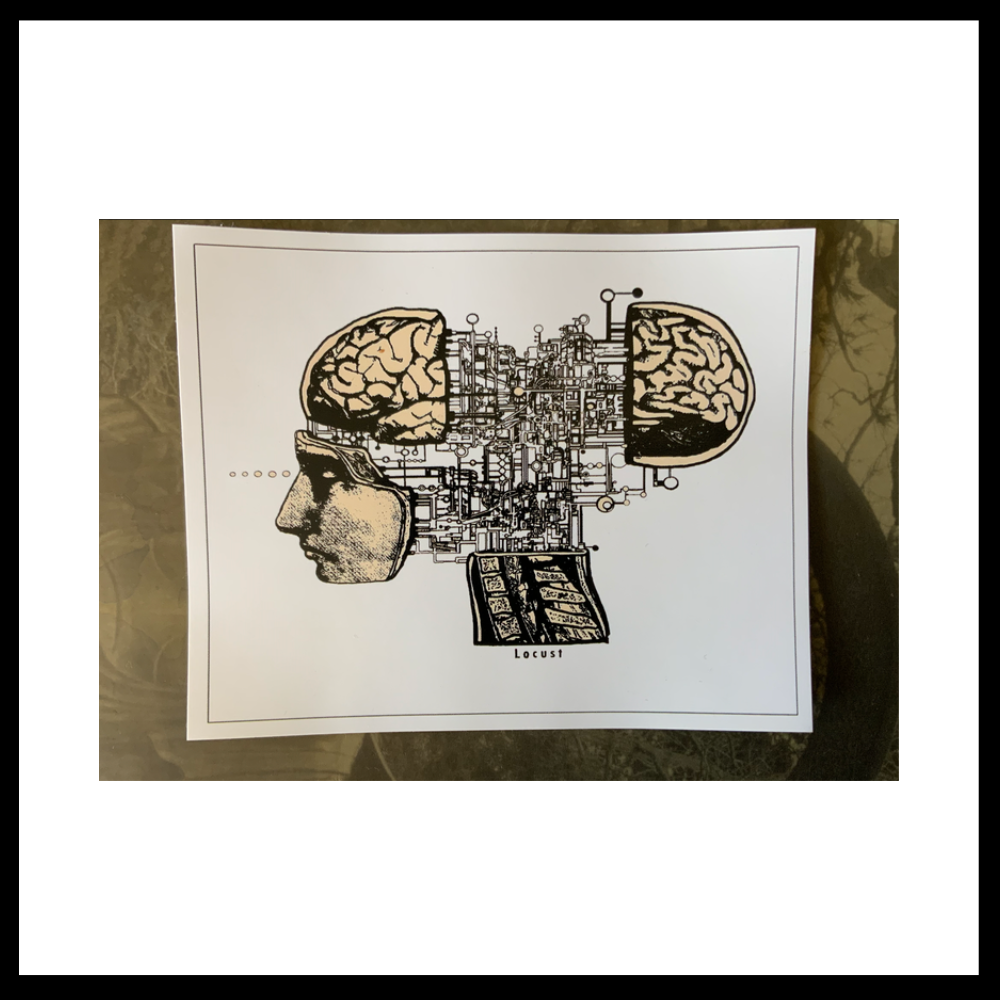 Locust: San Francisco Street Artist