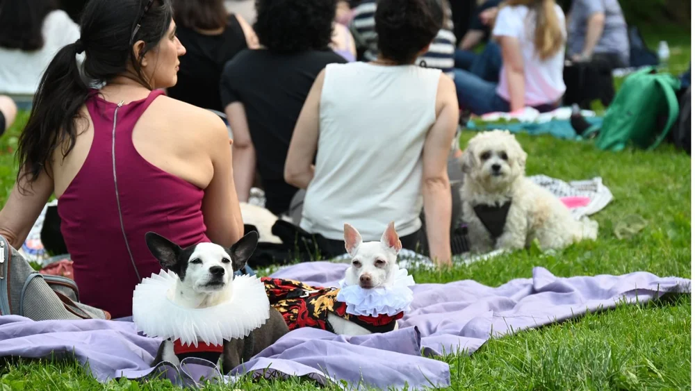 Free Outdoor Shakespeare in NYC Parks: All’s Well That Ends Well — NY ...