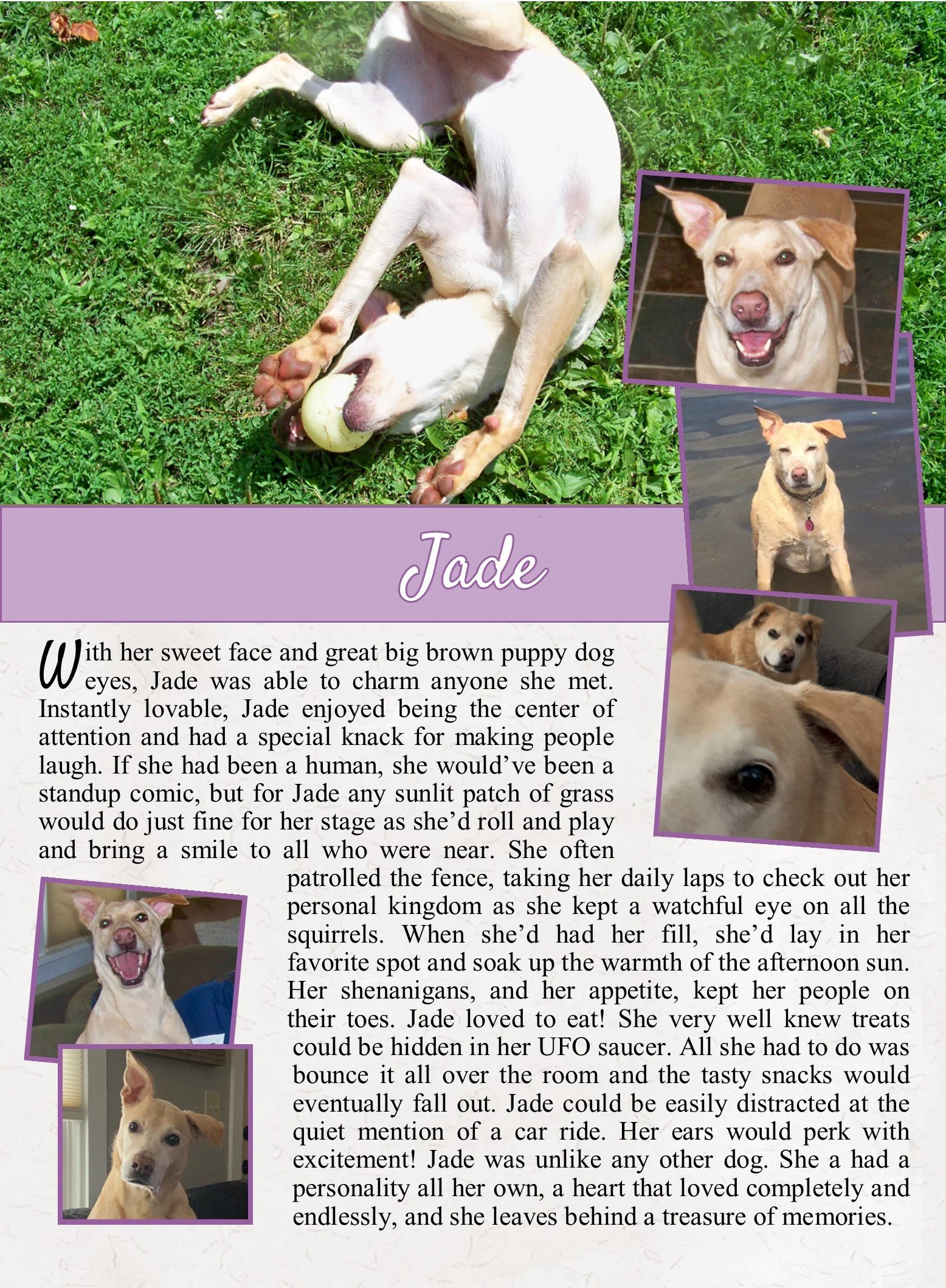 Life Tails Pet Cremation