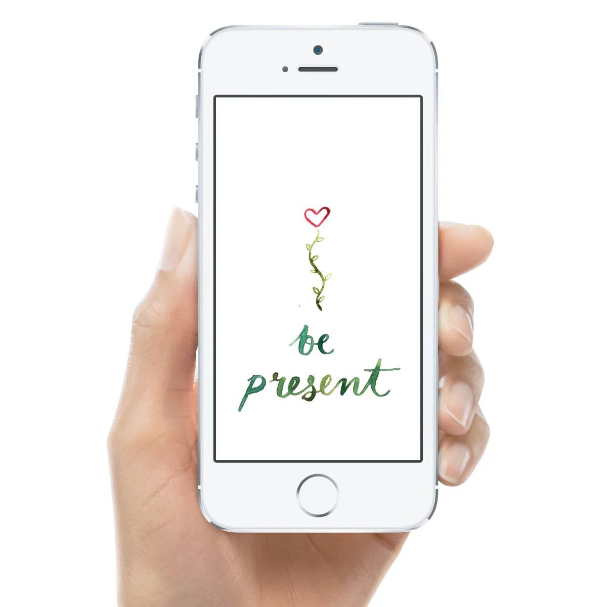 Wallpapers — Molly McLeod