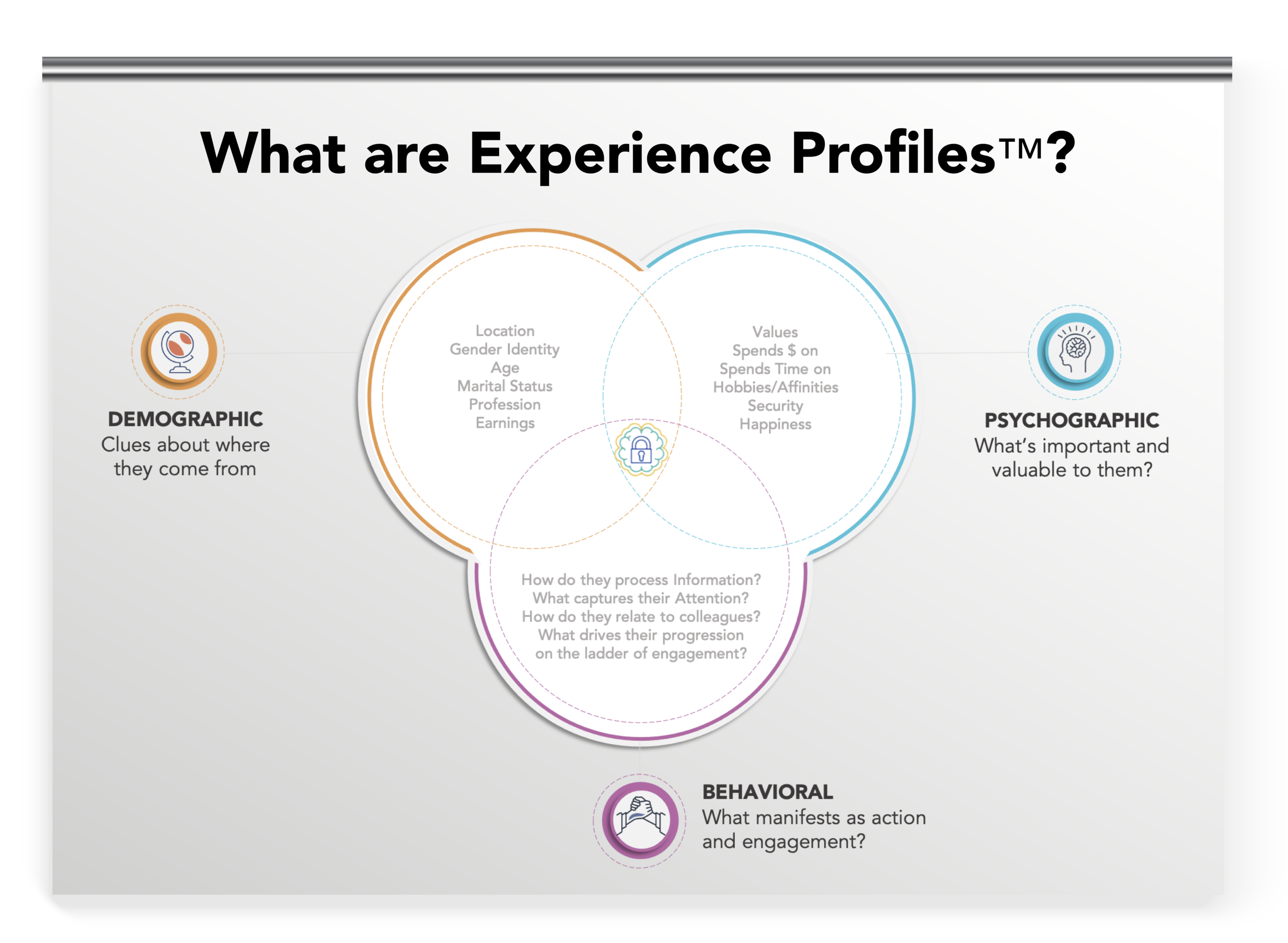 Experience Profiles™ — Storycraft Lab