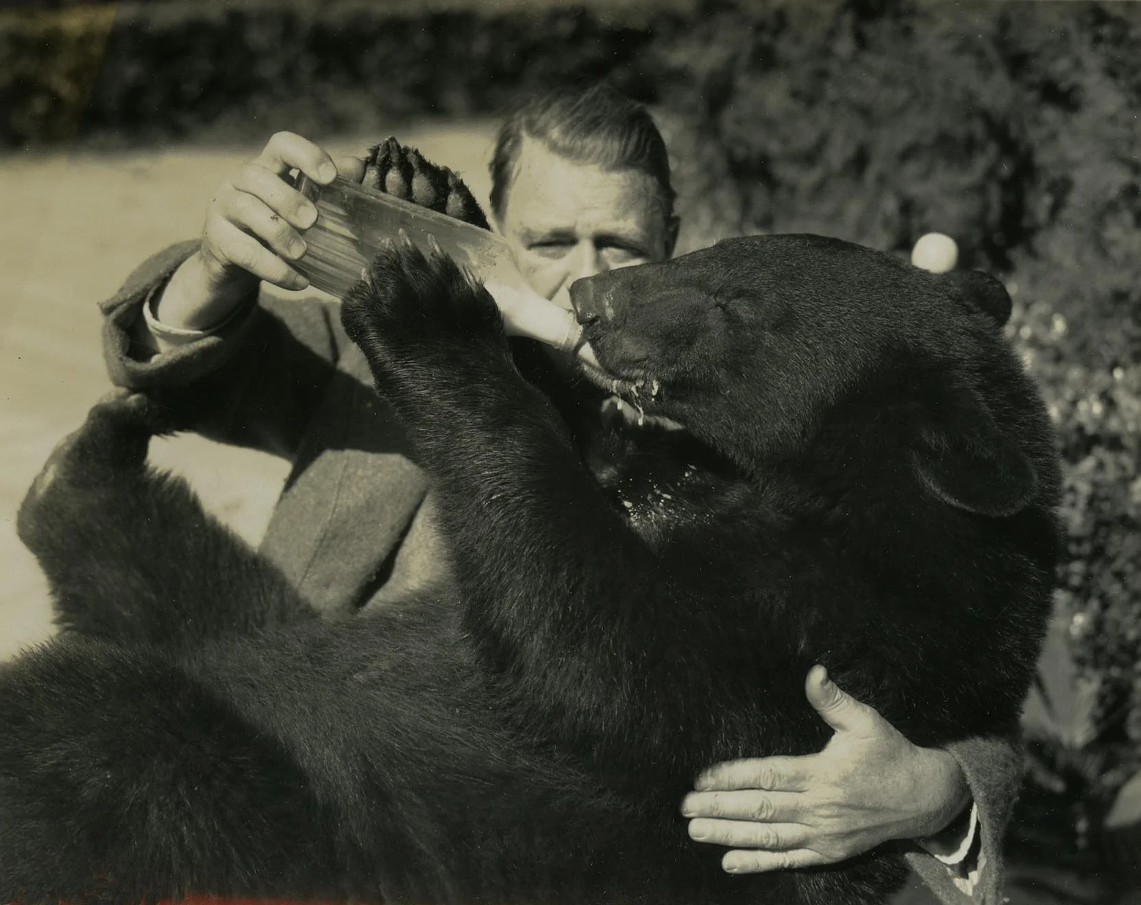 History — Jungle Gardens