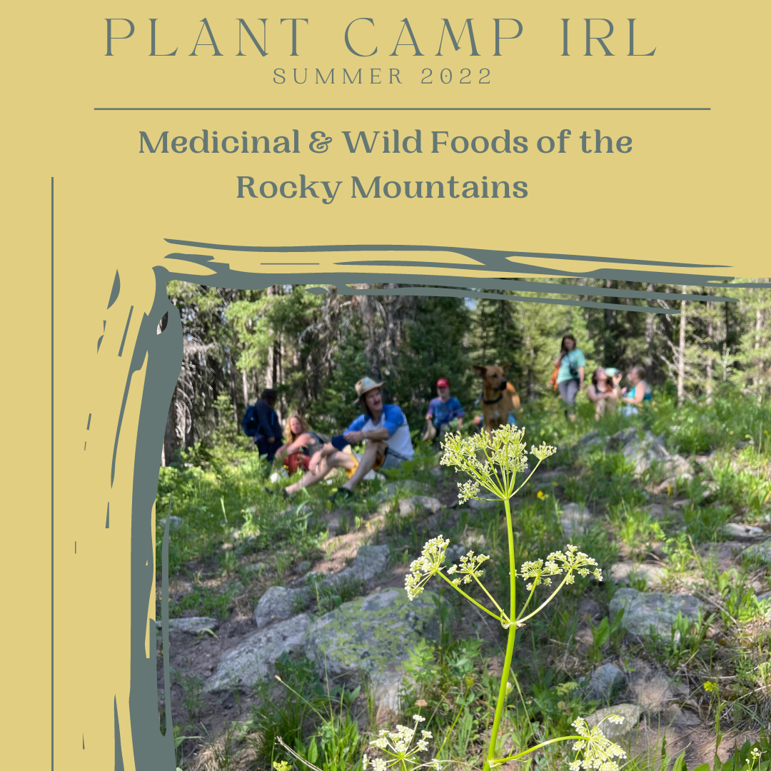 Rooted Apothecary- Plant Based Skin Care and Natural Remedies