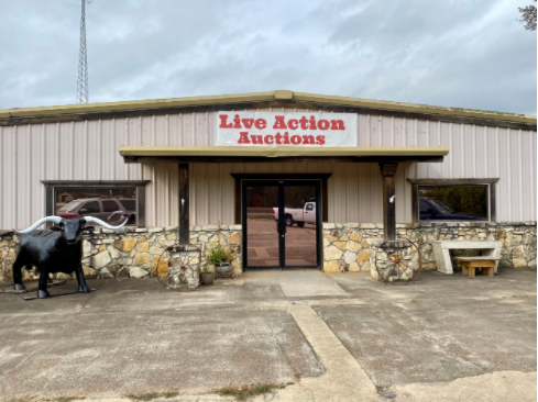 Live Auction Outside