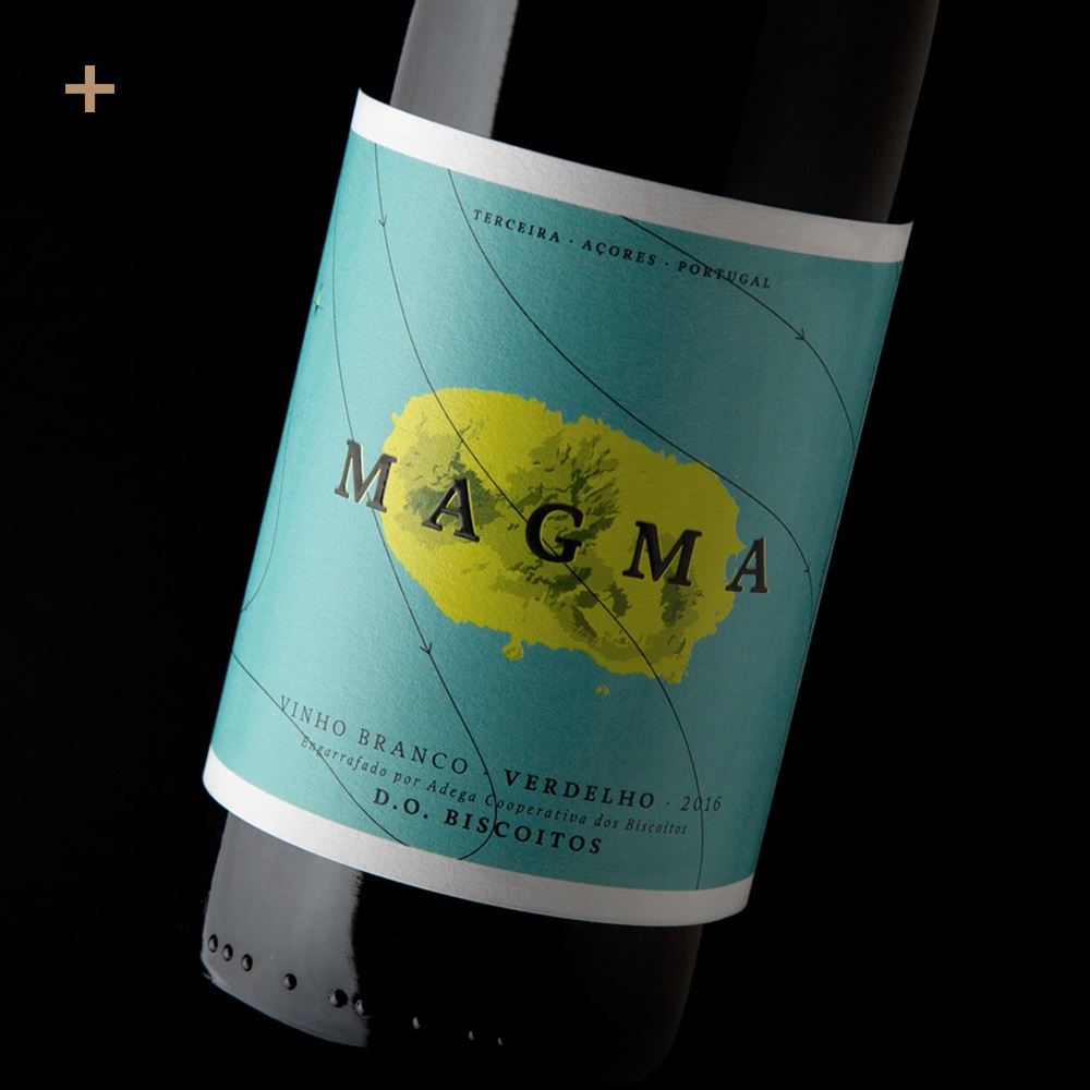 Moço Wine Branding