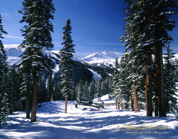 Colorado in Winter - Grizzly Creek Gallery