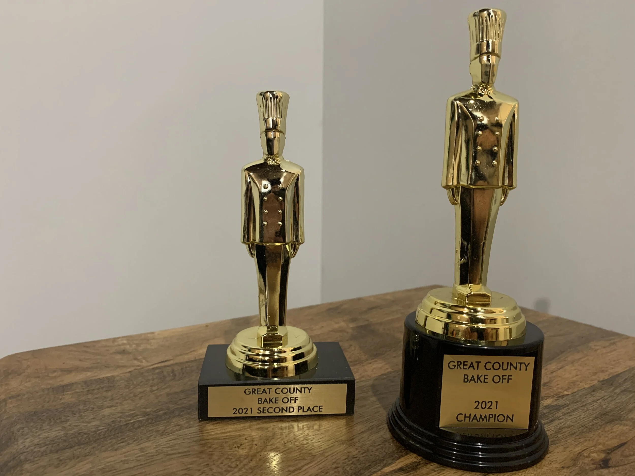 Wellness — Cook County Emergency Medicine Residency