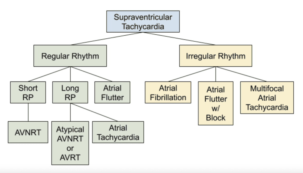 Heart of the Matter: SVT and the RP Interval — Cook County Emergency ...