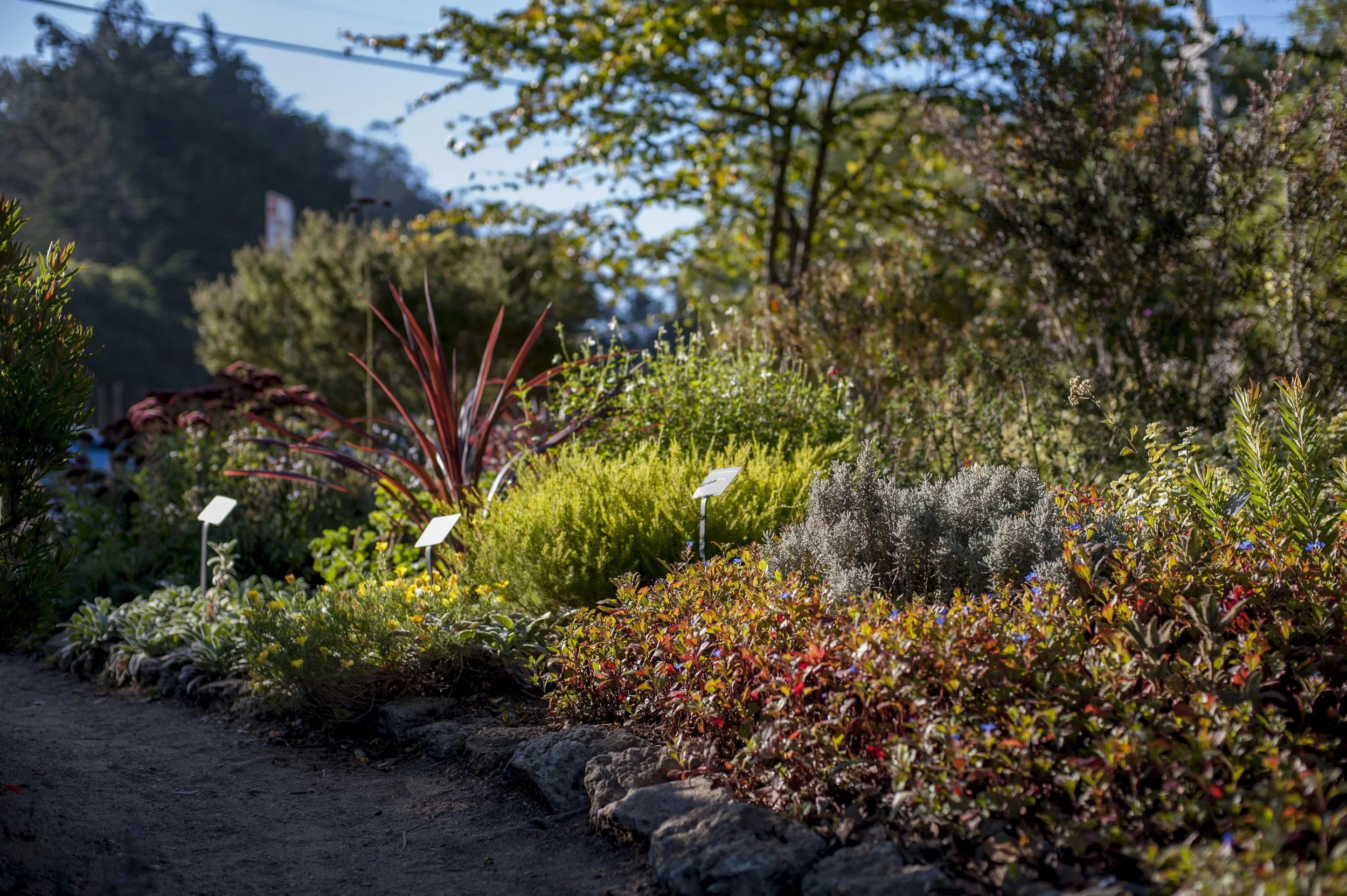 The Garden — Garden for the Environment