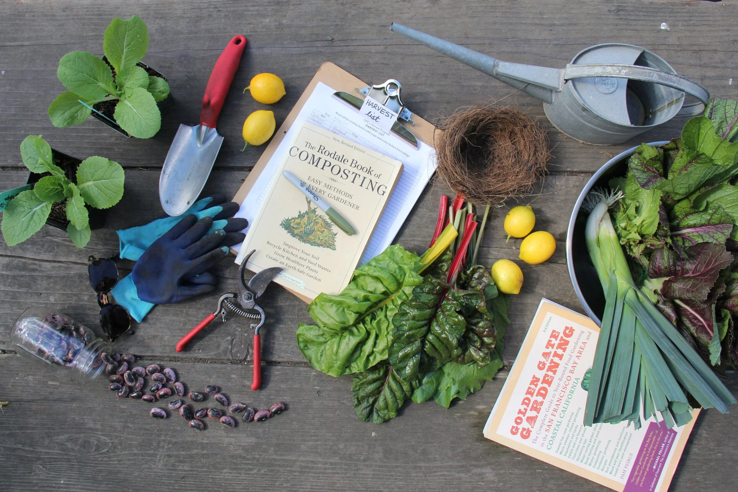 Growing Gardeners — Garden for the Environment