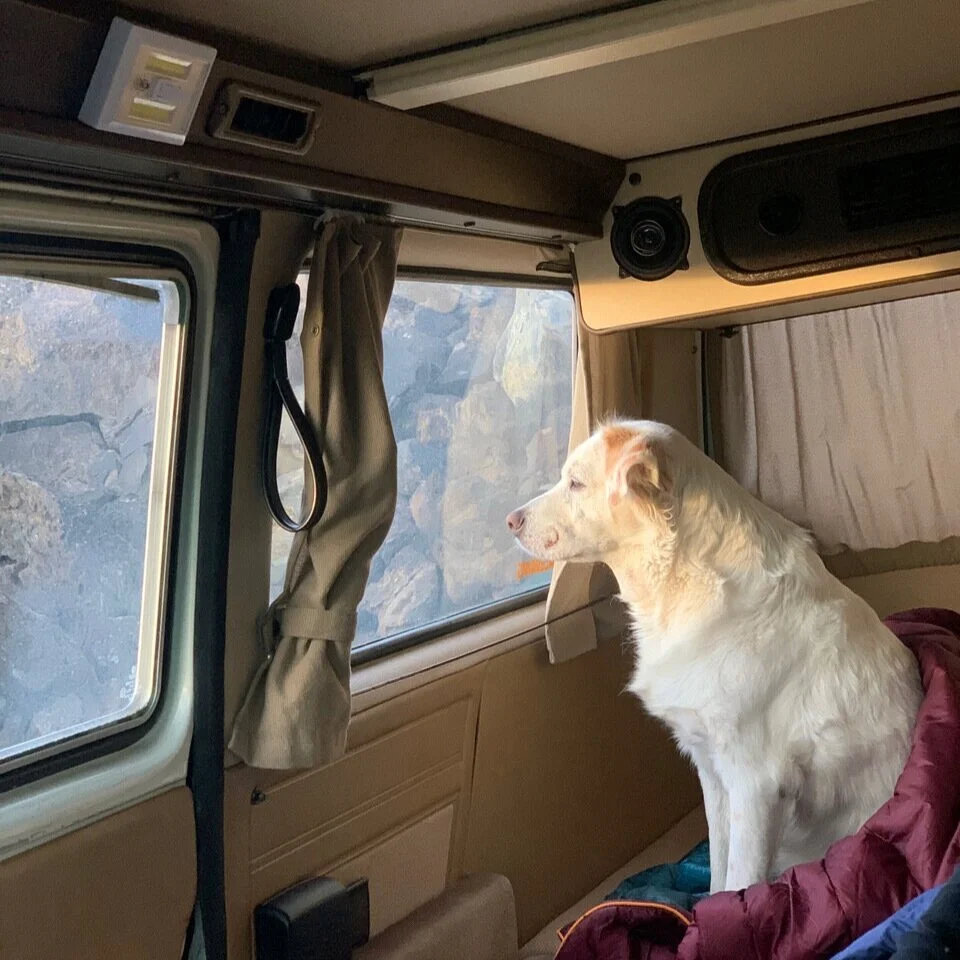 THE PANCHOVAN: A VW RESTORATION STORY — Peace Vans