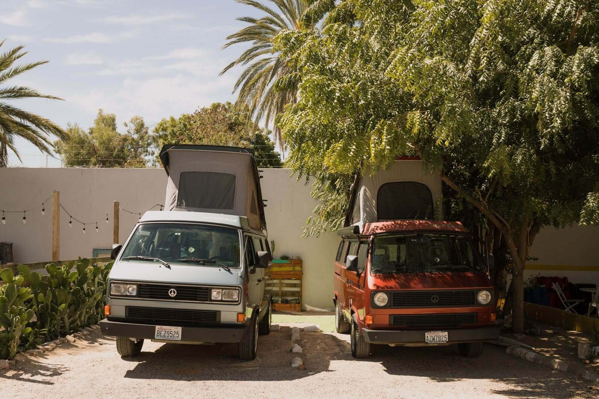 5 MUST-SEE DESTINATIONS IN BAJA CALIFORNIA — Peace Vans