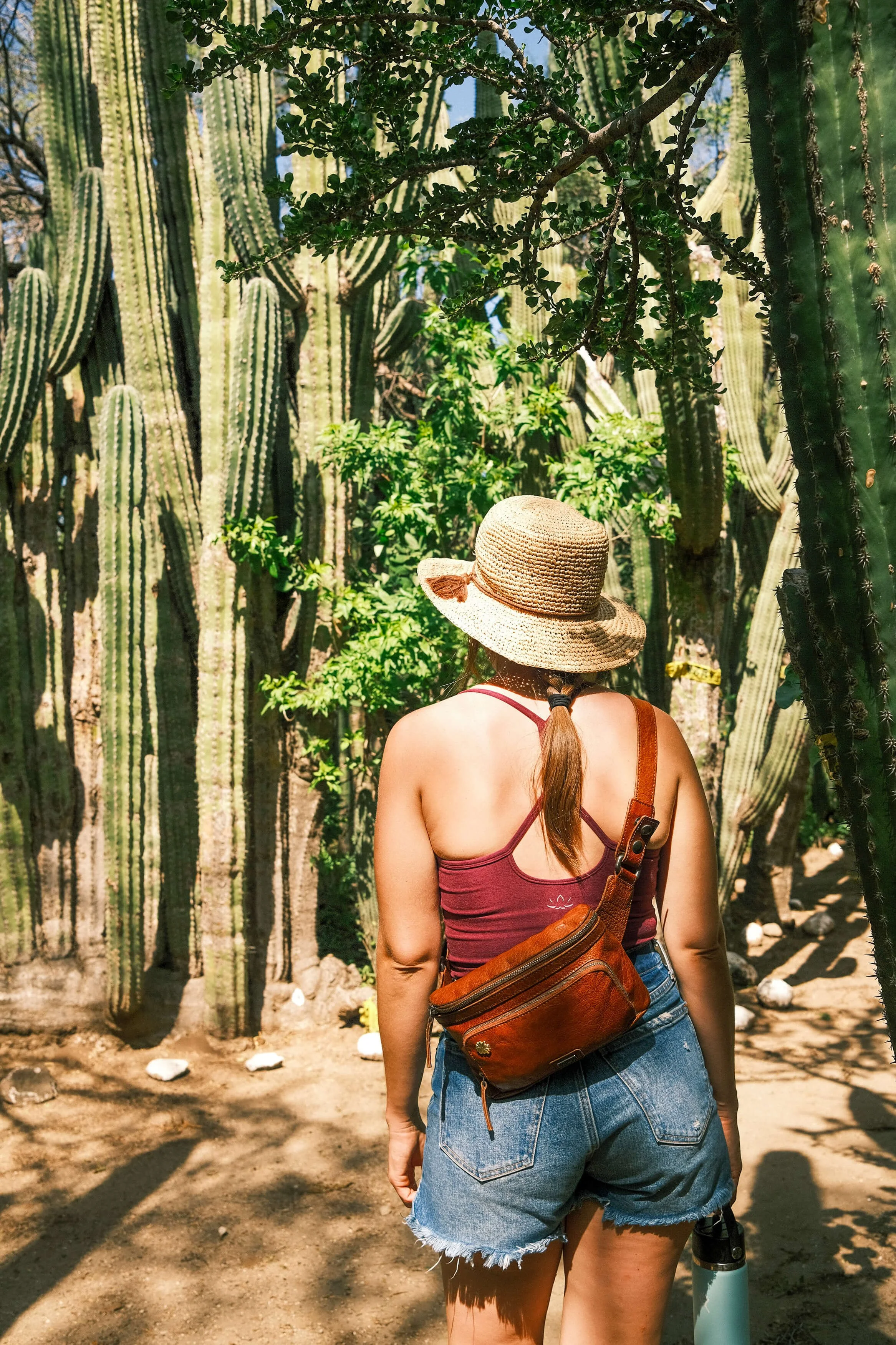 SELF-GUIDED CAMPER VAN TRIPS IN BAJA — Peace Vans