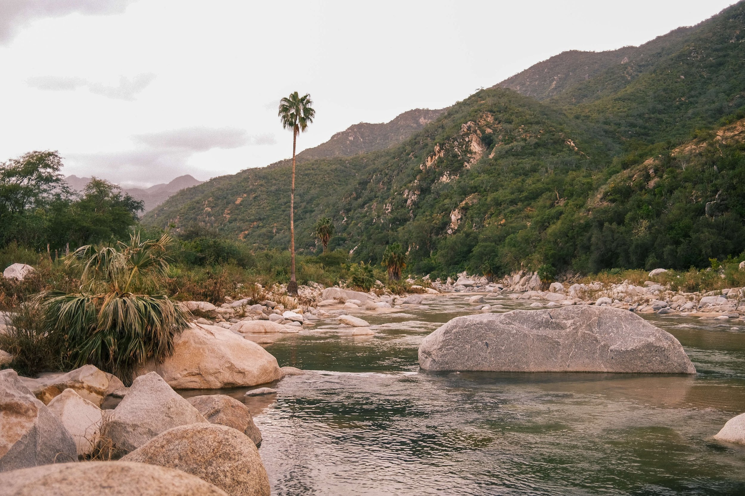 SELF-GUIDED CAMPER VAN TRIPS IN BAJA — Peace Vans