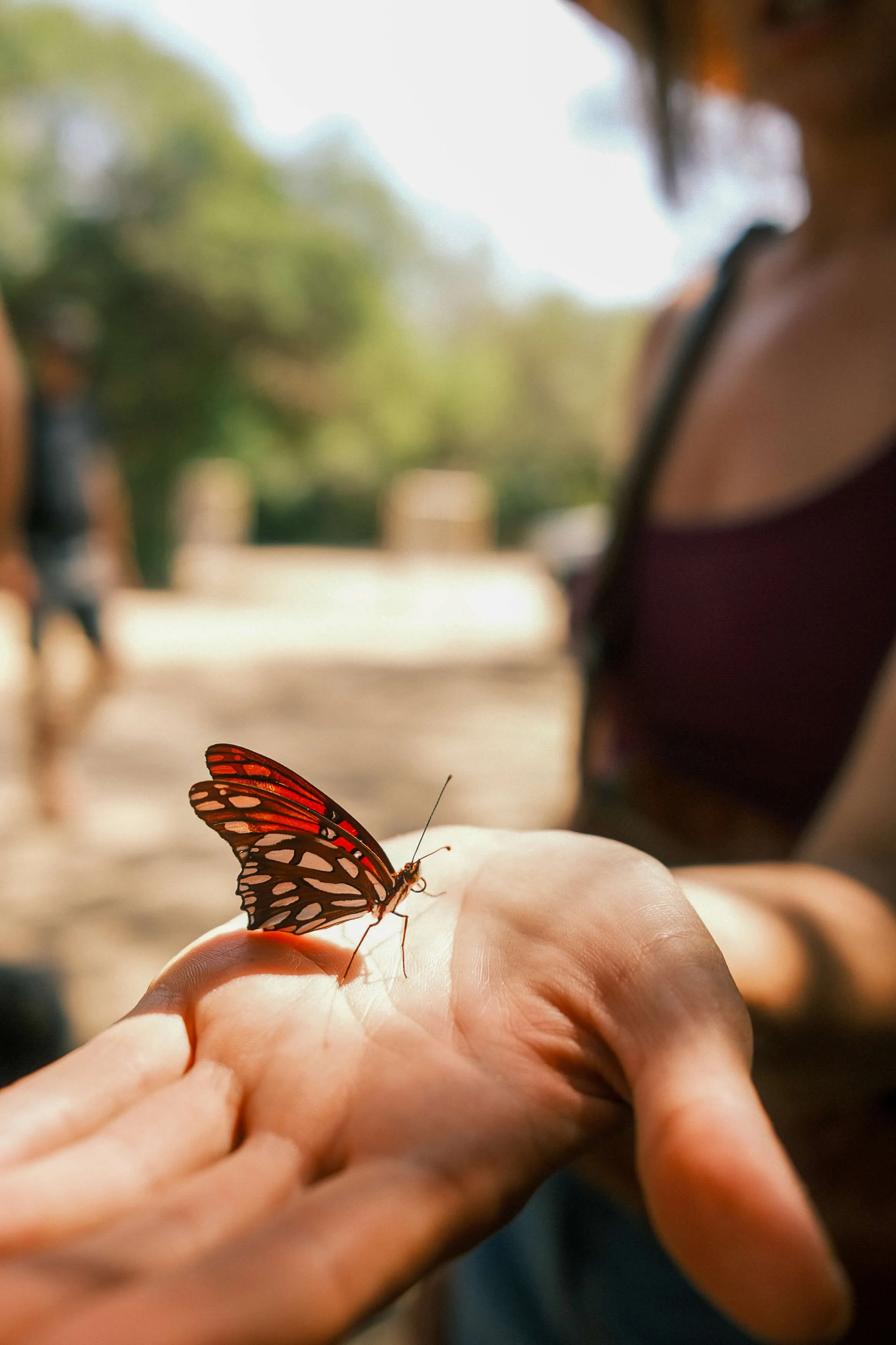 SELF-GUIDED CAMPER VAN TRIPS IN BAJA — Peace Vans