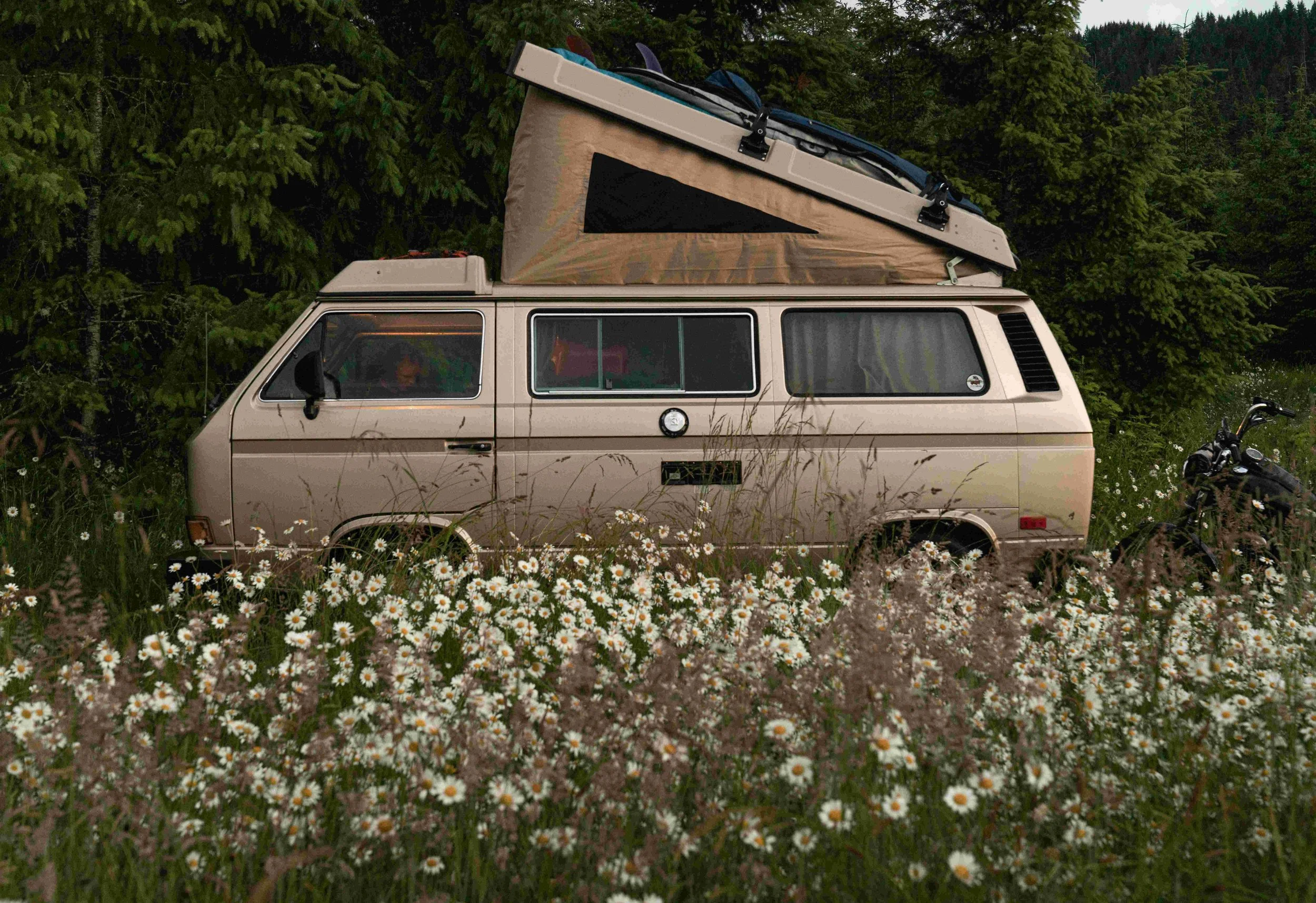 Best Places to See Wildflowers in the PNW — Peace Vans