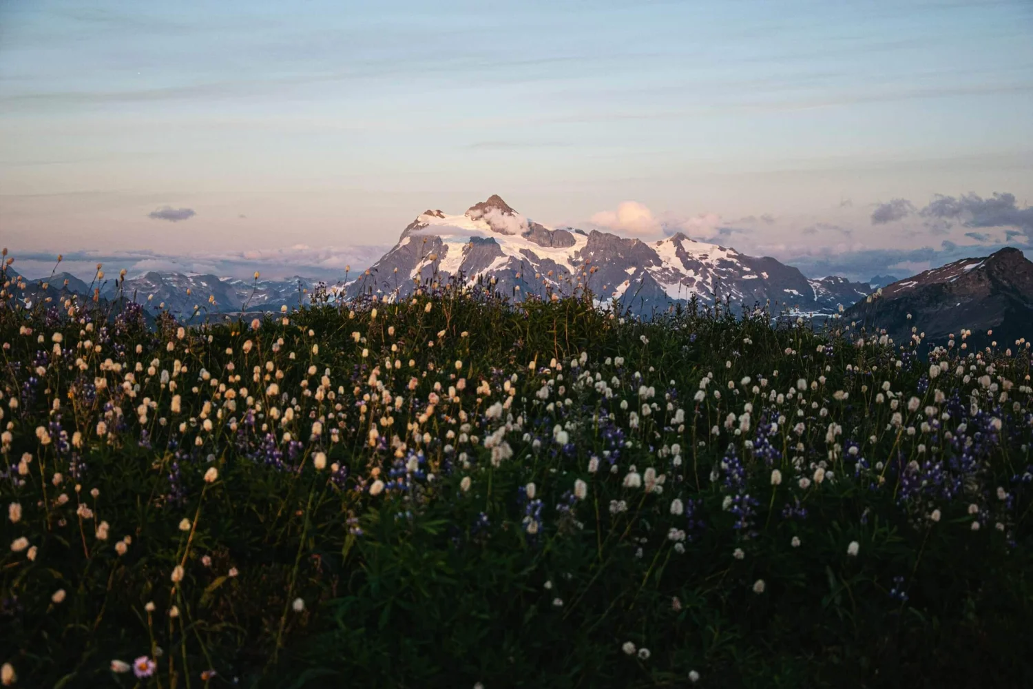 The 4 Best Spring Destinations in the PNW — Peace Vans
