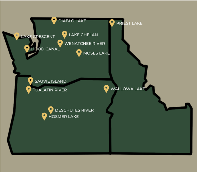 Our Favorite Pacific Northwest Lakes Rivers Peace Vans