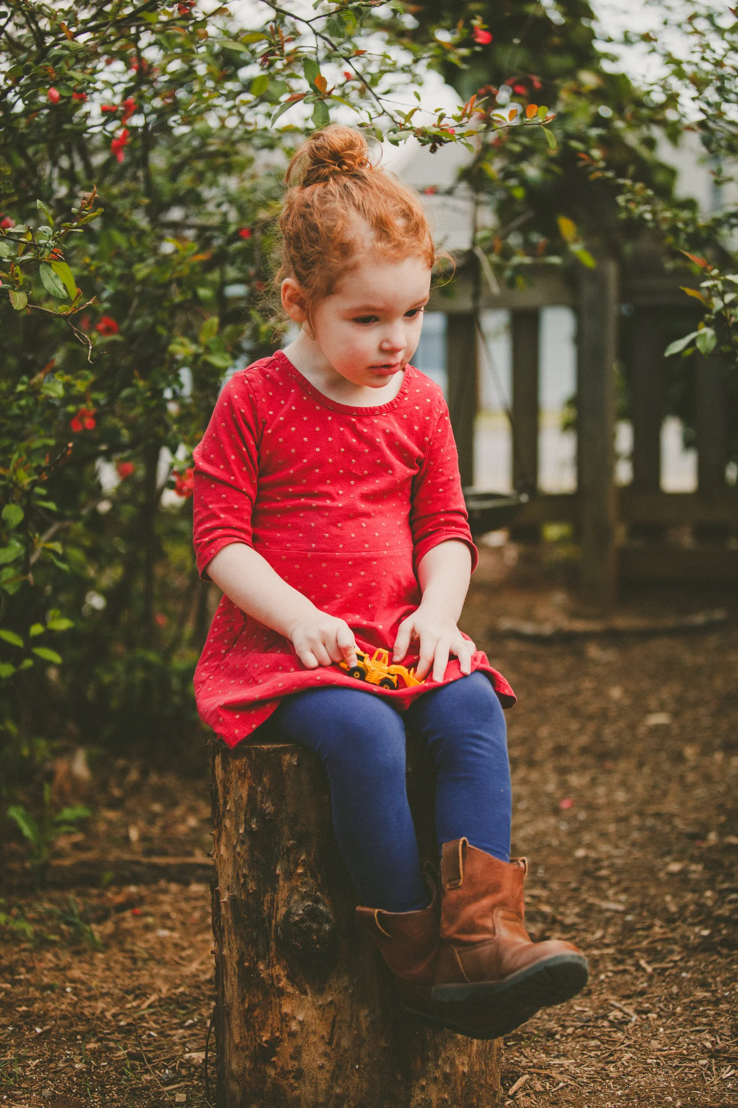 2018 Recap — Runaway Alice Photography | Knoxville and Maryville ...