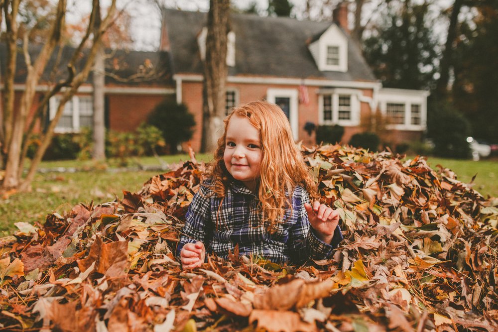 2018 Recap — Runaway Alice Photography | Knoxville and Maryville ...