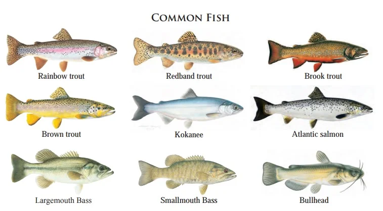 Post - Wanderlust Tours